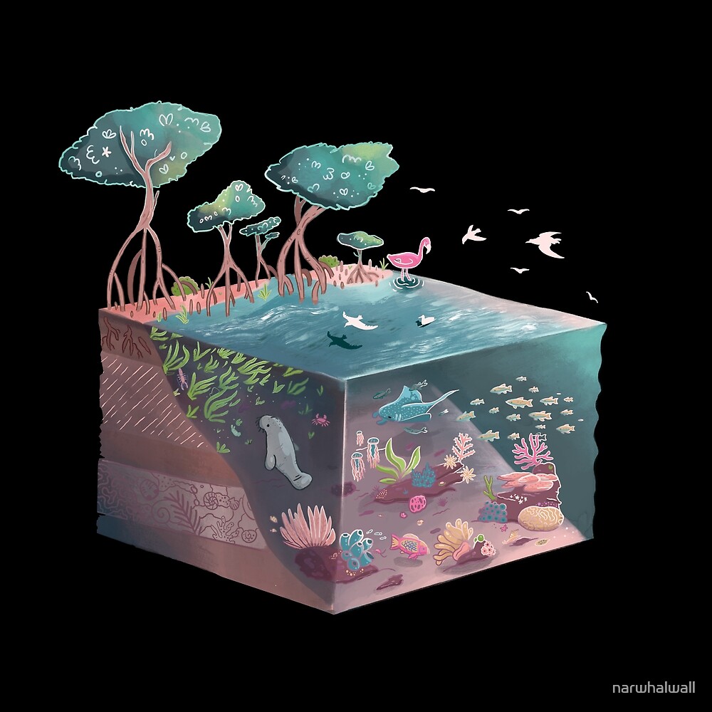 "Isometric Coral Reef and Mangrove Ecosystem " by narwhalwall | Redbubble
