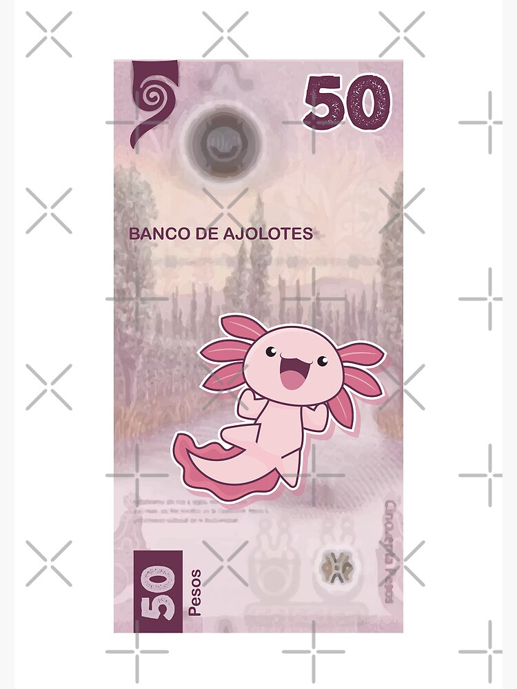 "Axolotl Mexican 50 Peso Bill / Banco de Ajolotes" Journal for Sale by ...