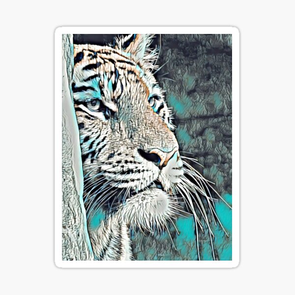 "Tiger looking hiding" Sticker by MSDreamArt | Redbubble
