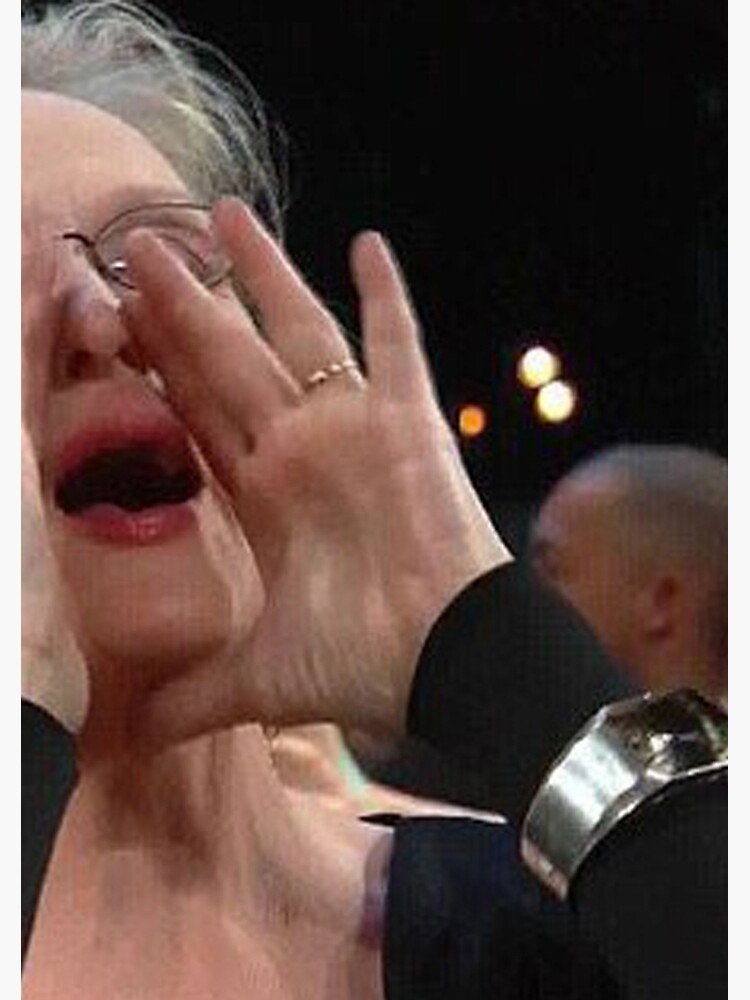 Meryl Streep Gritando Memes 36 Funny Meryl Ideas | Meryl Streep,