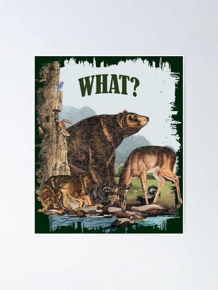 "Vintage Wildlife Design - Nature - What? - Camping Party Joke" Poster ...