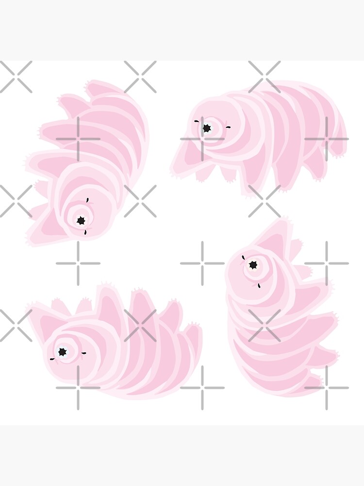 "Chubby Tardigrade Cute Set 5" Poster for Sale by KerriKerri | Redbubble