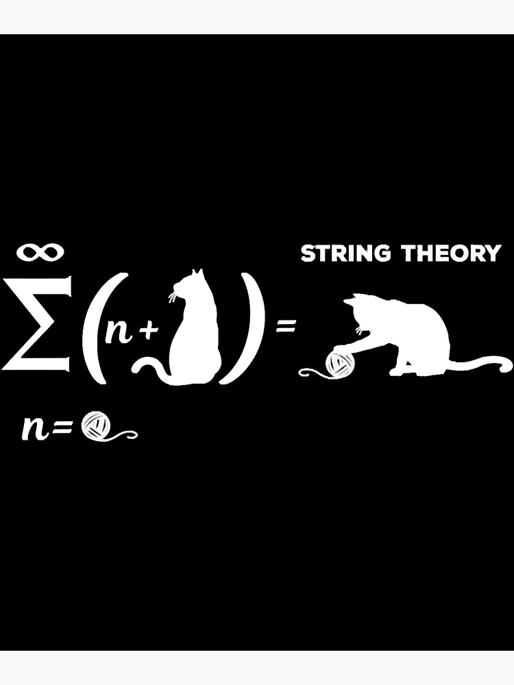 "Schrödinger String Theory" Poster by SomanAdeic | Redbubble