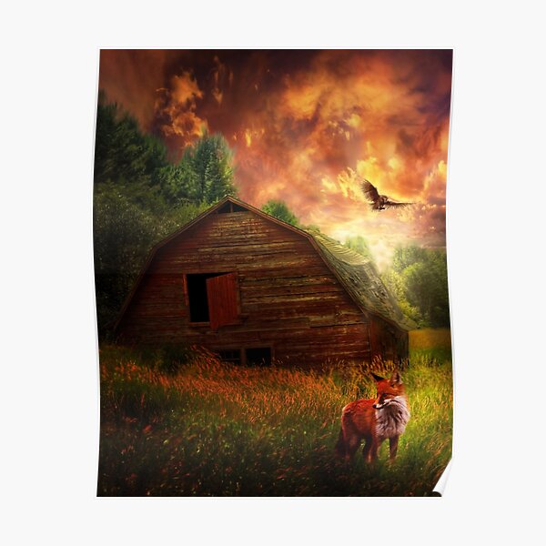"Barn Owl and Fox" Poster by Cliff | Redbubble