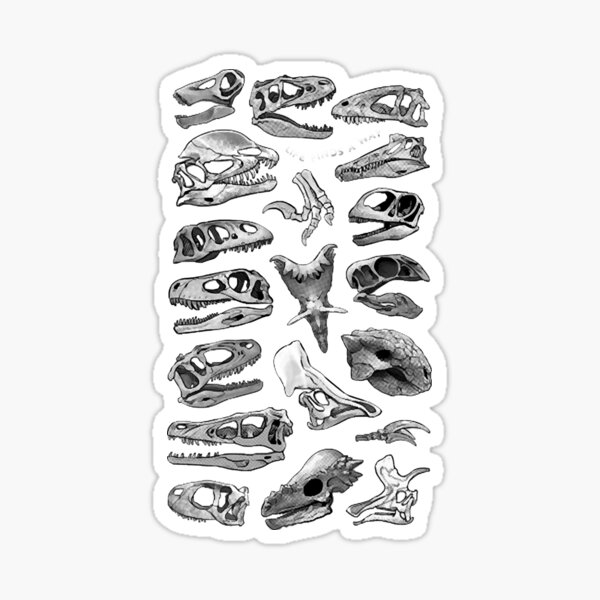 "Dino Skulls " Sticker by LorraineHa5965 | Redbubble