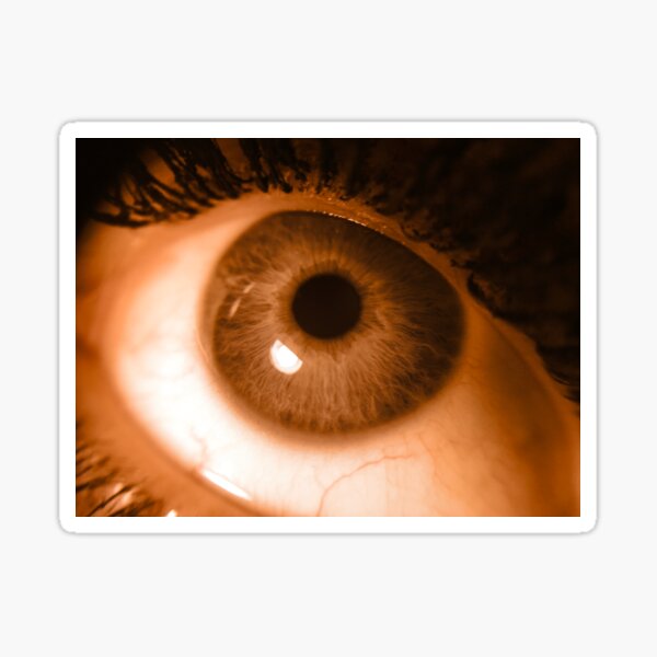 "Eyeball" Sticker for Sale by Bunchable | Redbubble