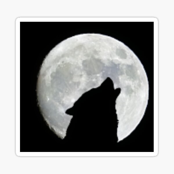 "Wolf on full moon" Sticker for Sale by IVCreativity | Redbubble
