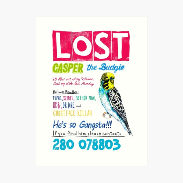 "Lost Poster - Casper the Budgie" Art Print by BananaDogg | Redbubble