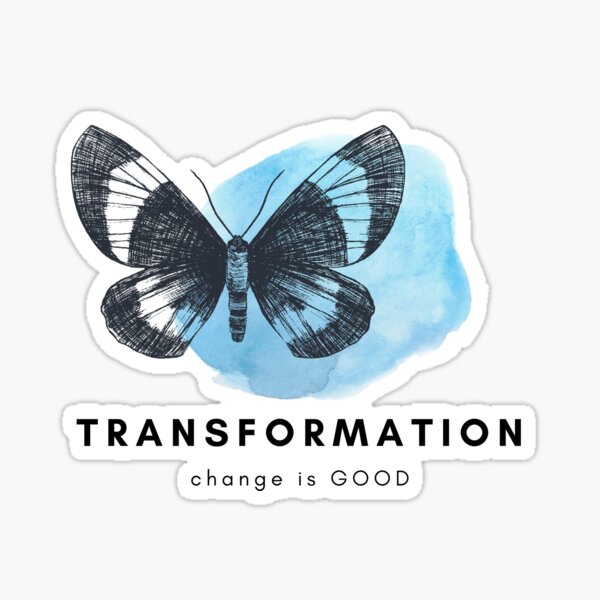 "Butterfly Transformation" Sticker for Sale by Beeabundantnow | Redbubble