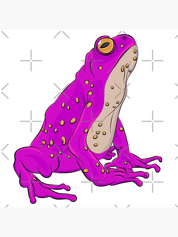 "pink frog - toad - amphibian" Poster for Sale by SA2Art | Redbubble