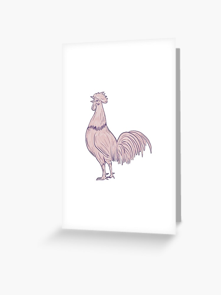 Rooster Crowing Drawing