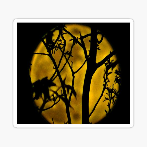 "Thorn Moon" Sticker by VividExhibition | Redbubble