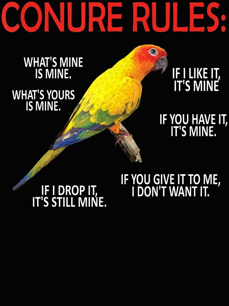 "Conure Rules Conure Owner Bird Sun Conure Parrot" Art Print for Sale ...