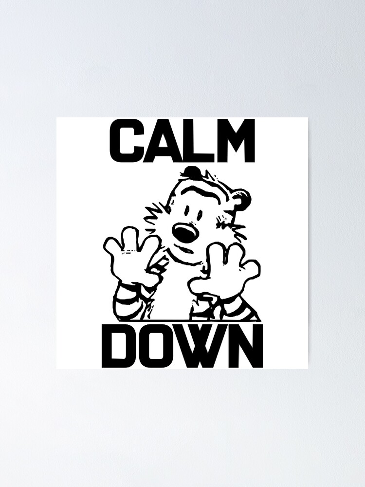 "CALVIN and HOBBES CALM DOWN Funny Stuffed Tiger Cartoon T-Shirt Coffee ...