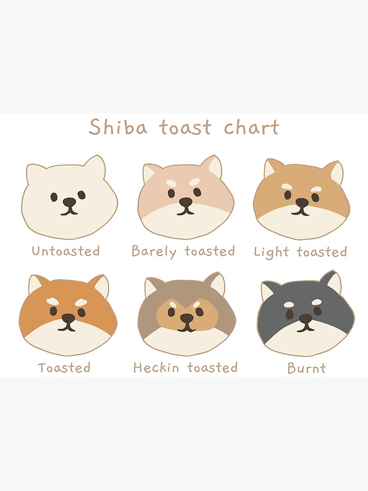 "Shiba Inu Toast Chart" Photographic Print by ayuvan | Redbubble