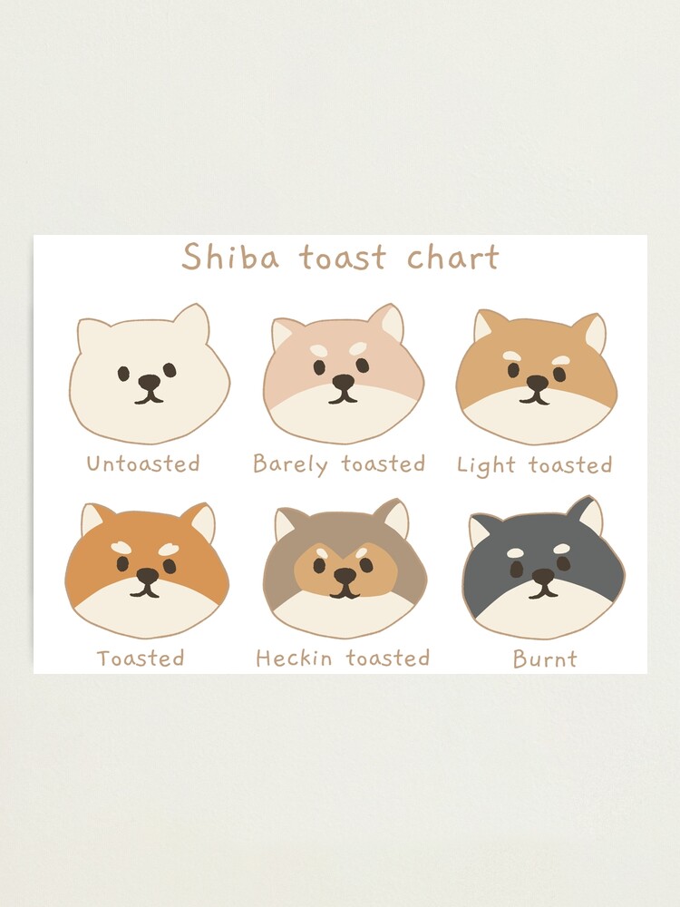 "Shiba Inu Toast Chart" Photographic Print by ayuvan | Redbubble