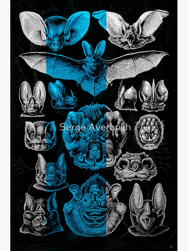 "Kingdom of the Silver Bats" Sticker for Sale by Captain7 | Redbubble