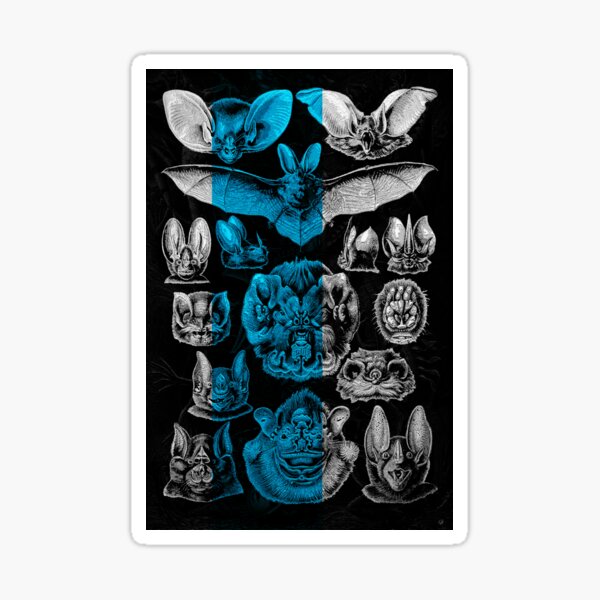 "Kingdom of the Silver Bats" Sticker for Sale by Captain7 | Redbubble