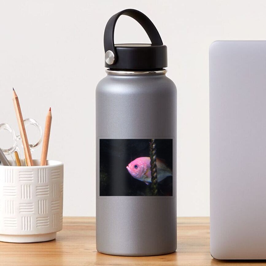 "Lovely pink fish" Sticker for Sale by greentiger1 | Redbubble