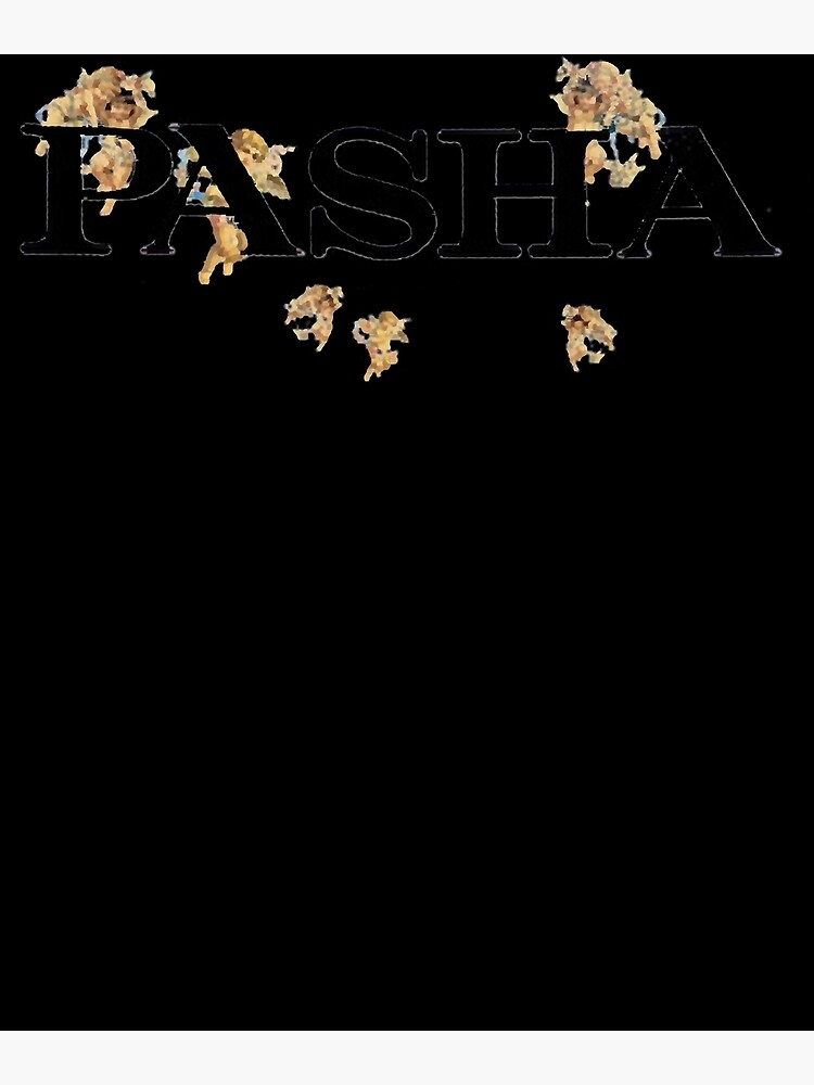 "Pashanim Logo Classic" Poster for Sale by Hernandez99 | Redbubble
