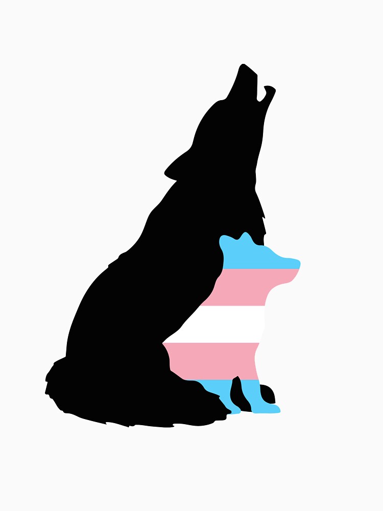 "DEFEND TRANS YOUTH " T-shirt for Sale by SaffronRose | Redbubble ...