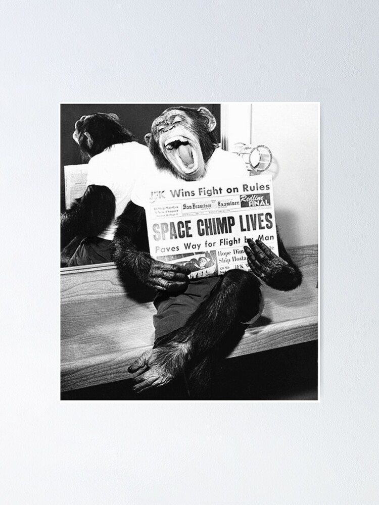 "Ham" Poster by 2douche | Redbubble