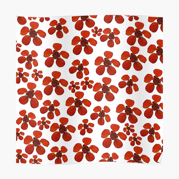 "False quince flowers, flower pattern, autumn flowers, cool hippie ...