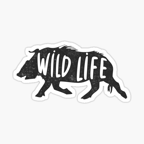 "Boar Wild Life" Sticker for Sale by kapiks | Redbubble