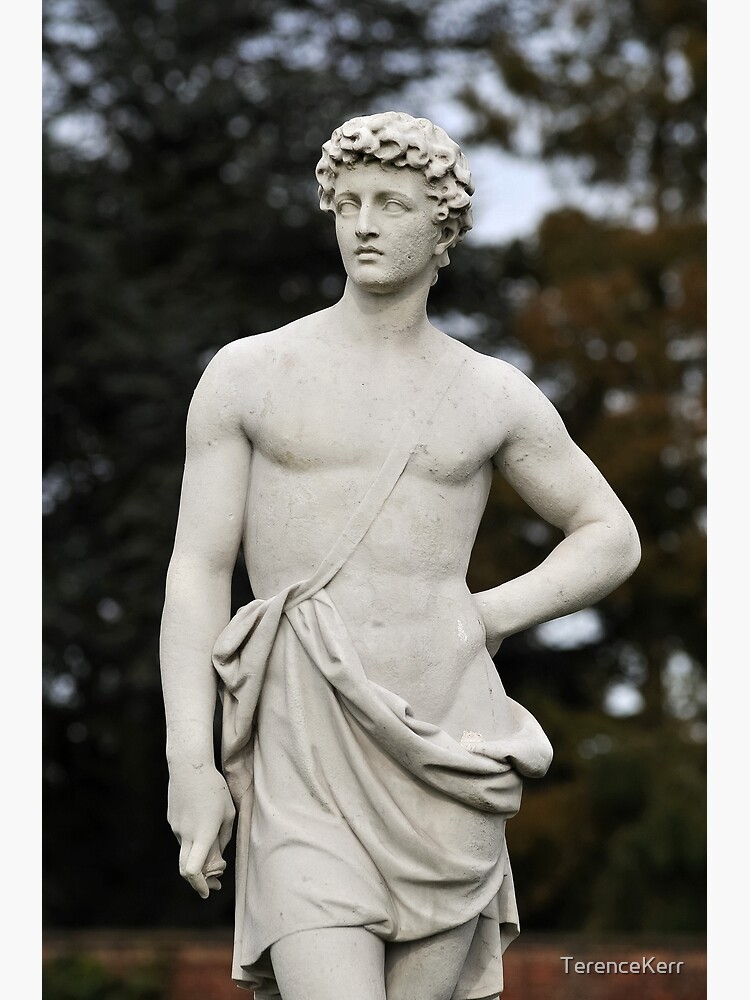 "Adonis, Greek god of beauty and desire" Poster for Sale by TerenceKerr ...