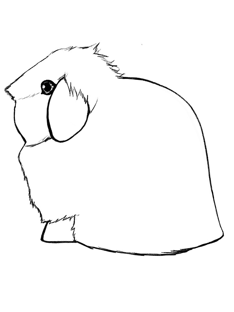 "American Fuzzy Lop - Outline" Poster for Sale by PumpkinPiArt | Redbubble