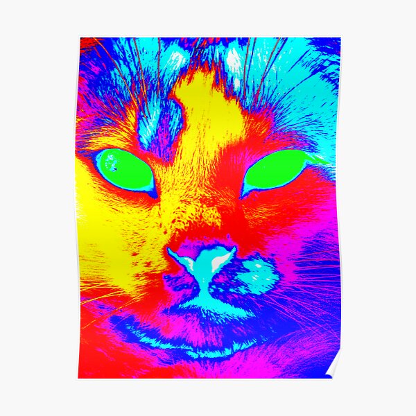 Cat Funky Posters | Redbubble
