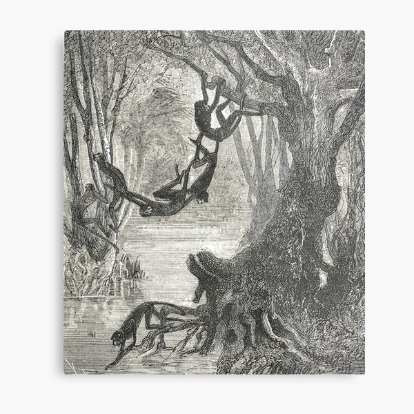 "Monkeys forming a bridge over a river" Metal Print for Sale by ...