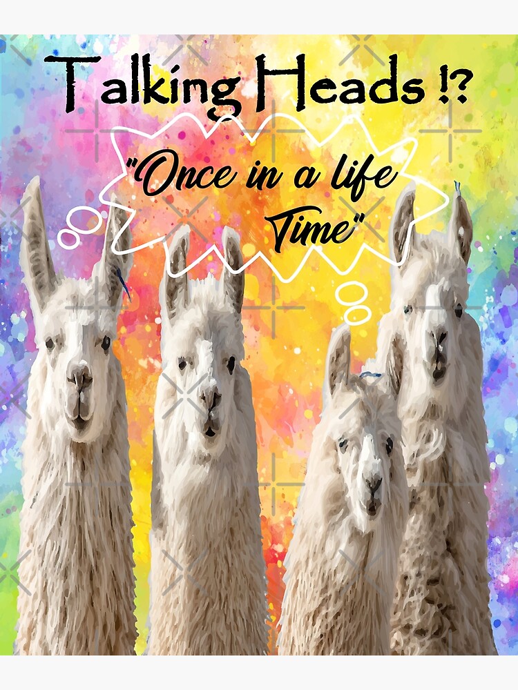 "Talking Heads - Once in a lifetime - Llama Thinking" Poster for Sale ...