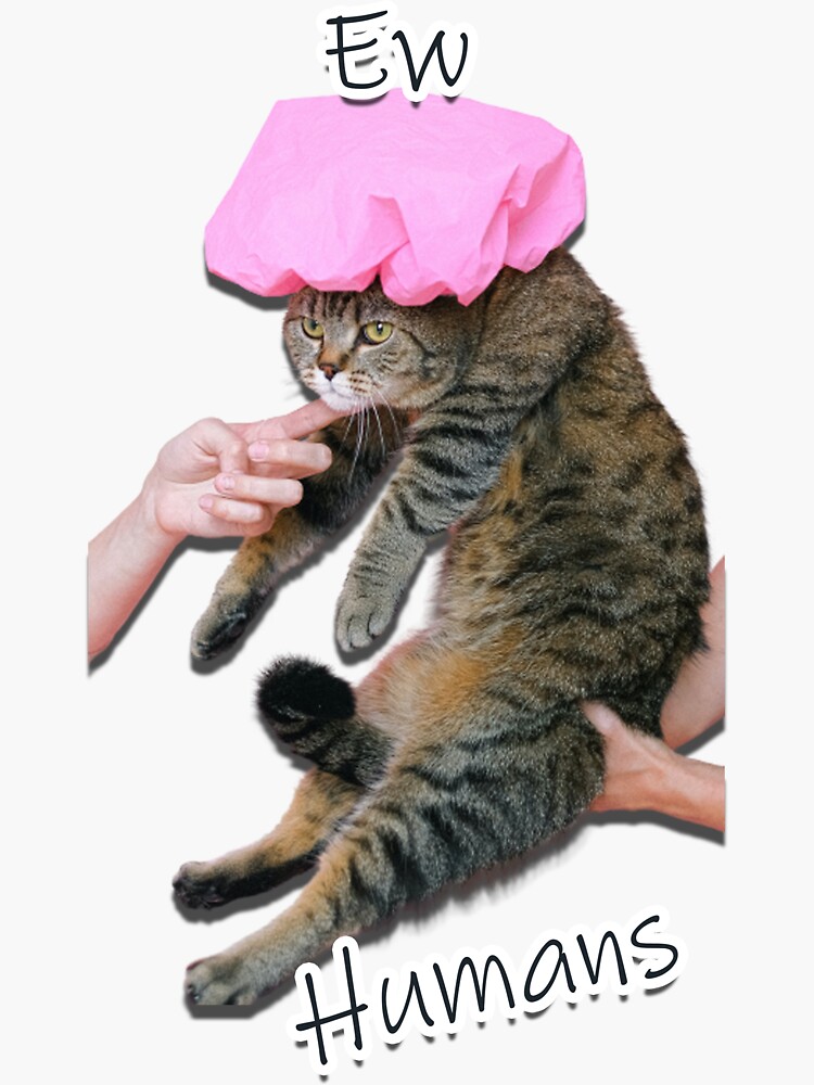 "Ew Humans meowy cat lovers" Sticker for Sale by Medbir | Redbubble