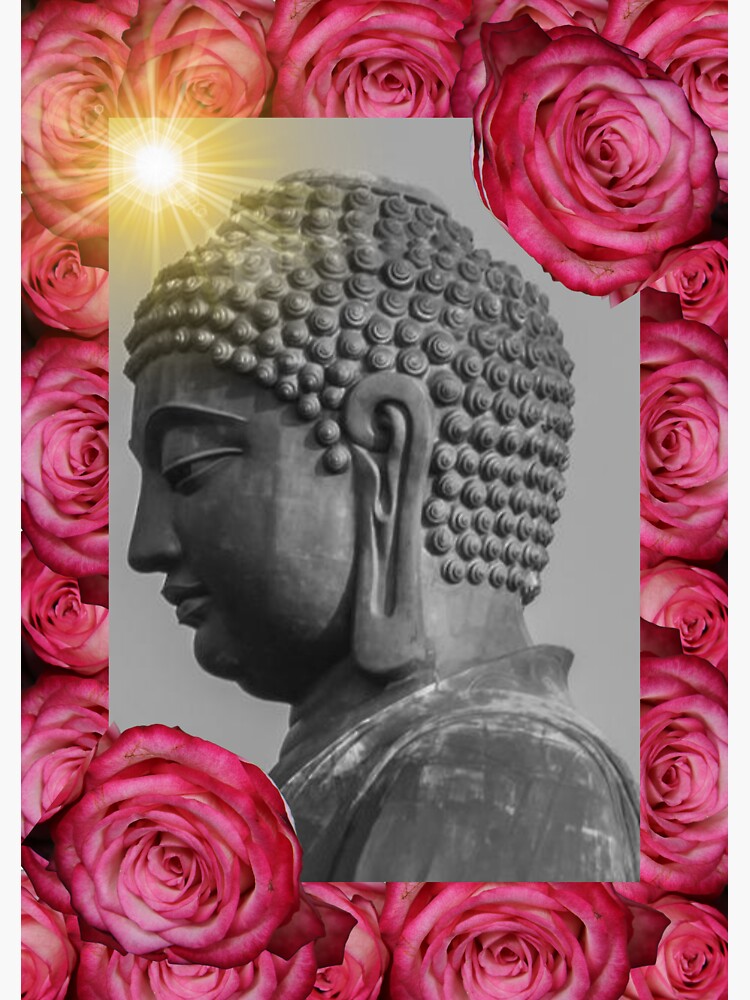 "'Buda in the Sun' With Deep Red Rose flower Background" Sticker for ...