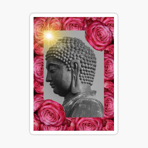 "'Buda in the Sun' With Deep Red Rose flower Background" Sticker for ...