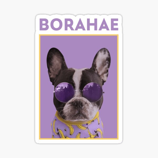 "BORAHAE - CUTE FUNNY BTS" Sticker by InchxInch | Redbubble