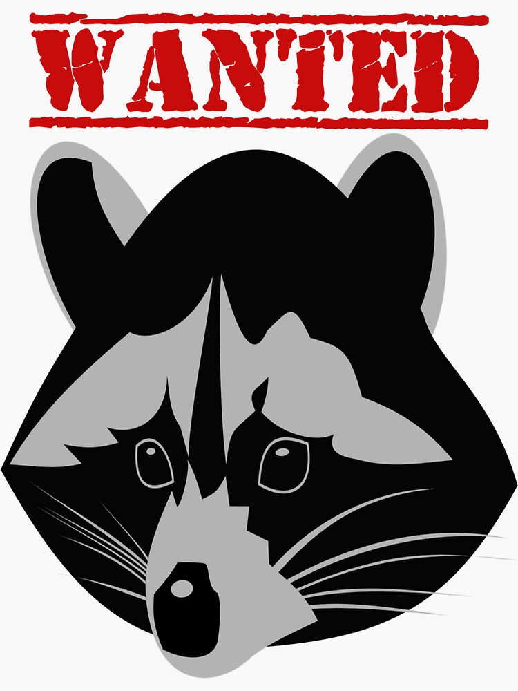 "Raccoon Wanted" Sticker by Funny-Fancy | Redbubble