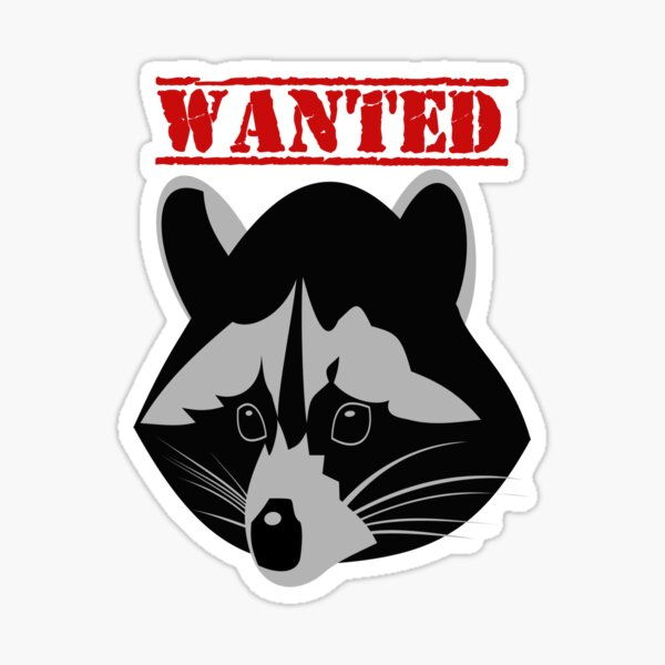 "Raccoon Wanted" Sticker by Funny-Fancy | Redbubble