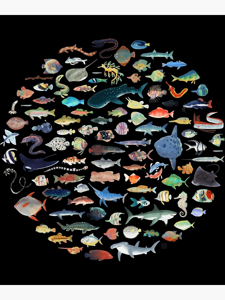 "One Hundred Fish Classic ." Poster for Sale by zapienanmood | Redbubble