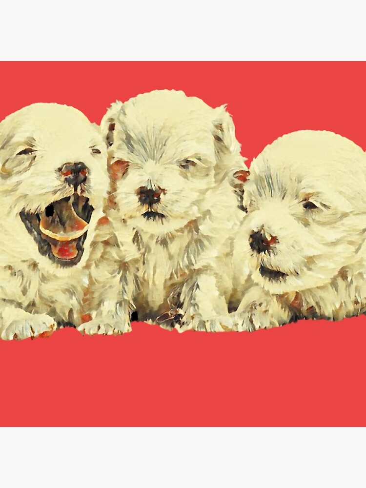 "Cute funny fluffy white puppy triplets water colour- Puppy triplets ...