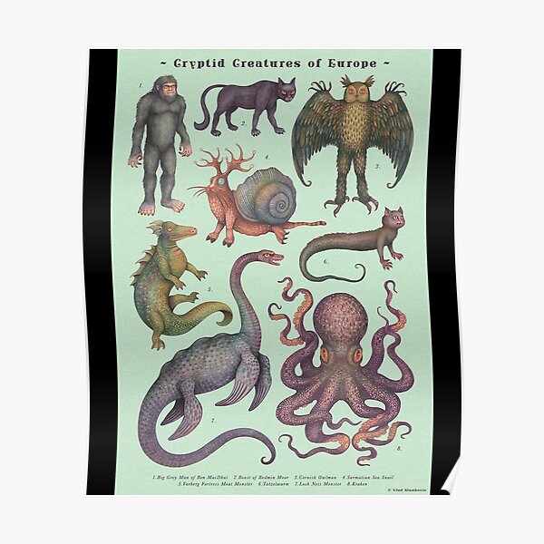 "Cryptids of Europe Cryptozoology species Poster" Poster for Sale by sedaexbronwbi | Redbubble