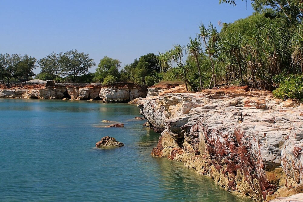 "Tropical coast, Darwin, Australia" by FranWest | Redbubble