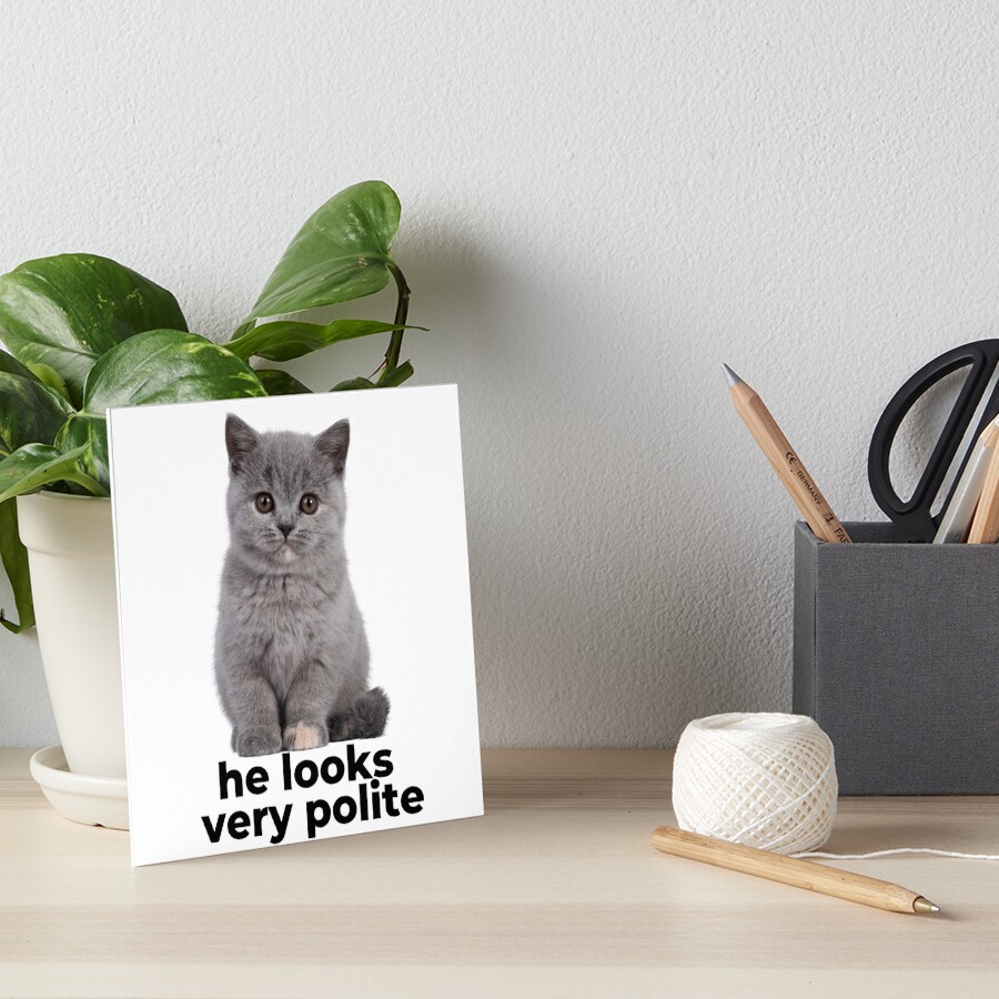"The polite cat | He looks very polite" Art Board Print by CorneliusDesign | Redbubble