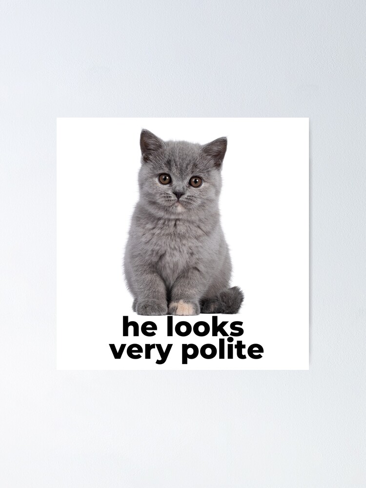 "The polite cat | He looks very polite" Poster by CorneliusDesign ...