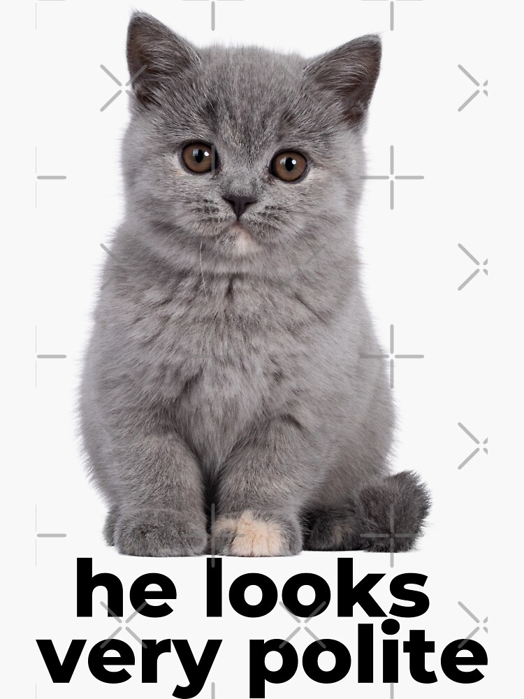 "The polite cat | He looks very polite" Sticker by CorneliusDesign ...