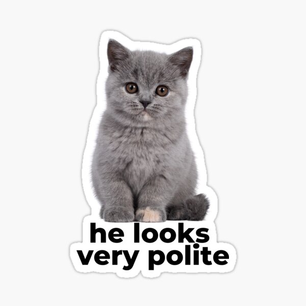 "The polite cat | He looks very polite" Sticker by CorneliusDesign ...