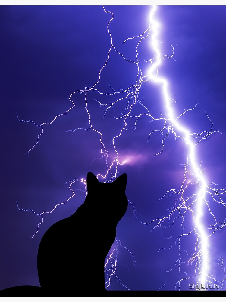 "Black Cat Lightning Thunder Storm" Poster for Sale by ShylaJoJo ...