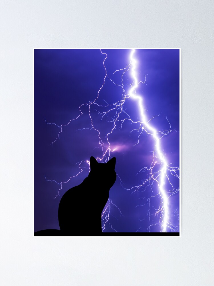 "Black Cat Lightning Thunder Storm" Poster for Sale by ShylaJoJo ...