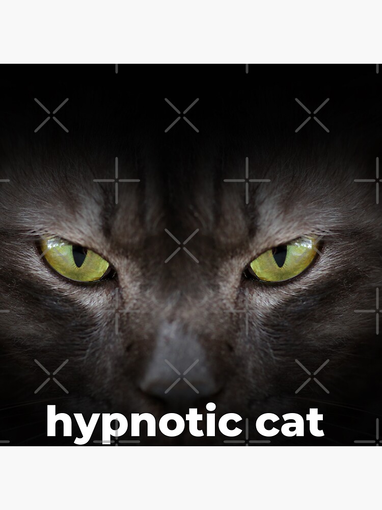 "Hypnotic Cat Eyes" Sticker by CorneliusDesign | Redbubble